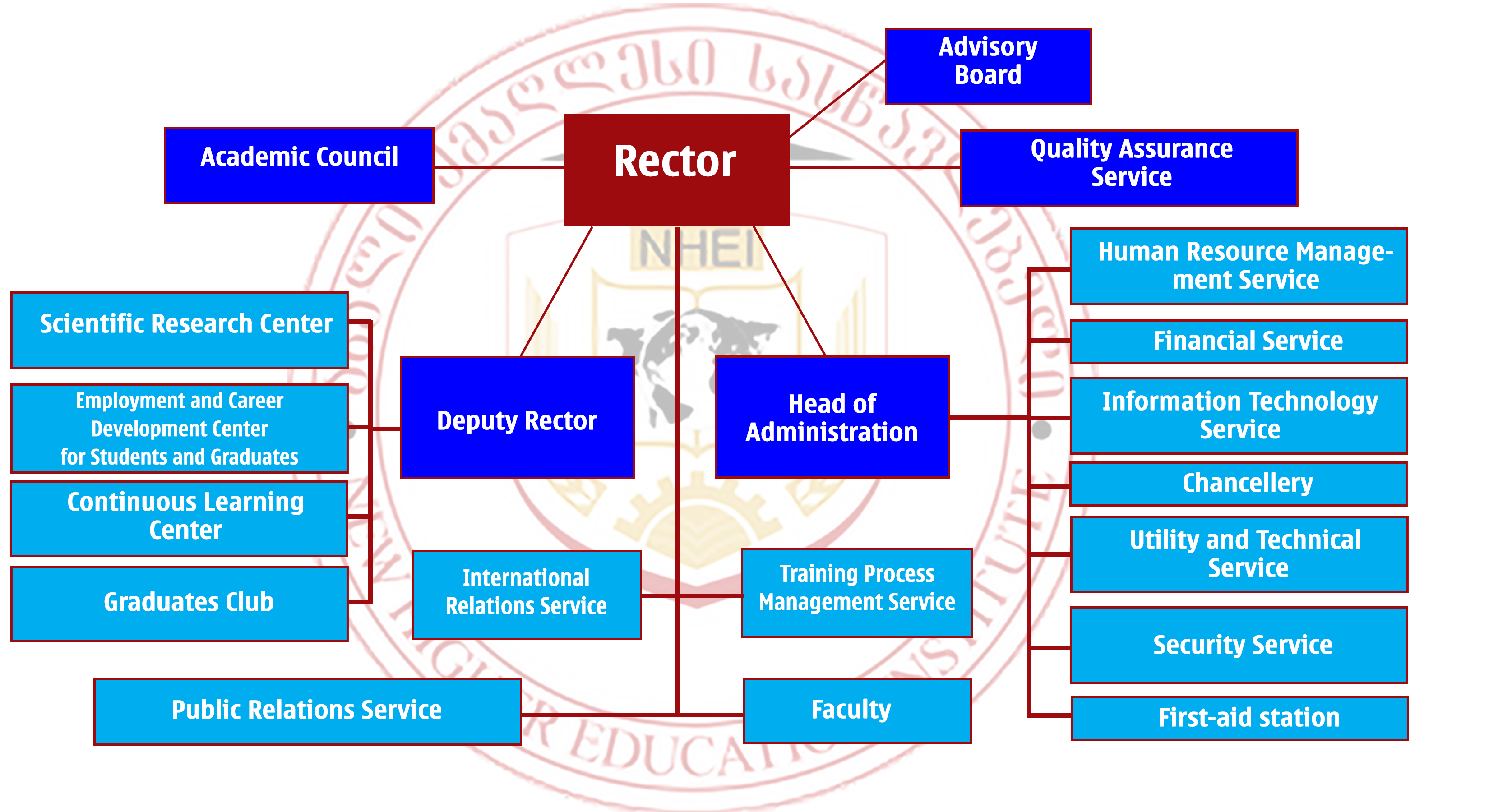 Structure – New Higher Education Institute